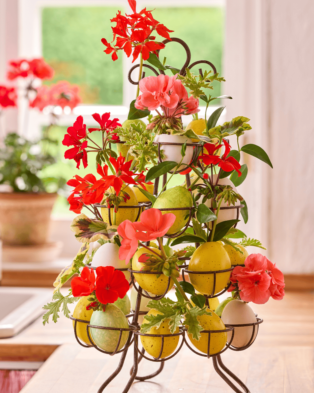 Ideje za uskrsne dekoracije s pelargonijama: proljetni ugođaj u vašem ...